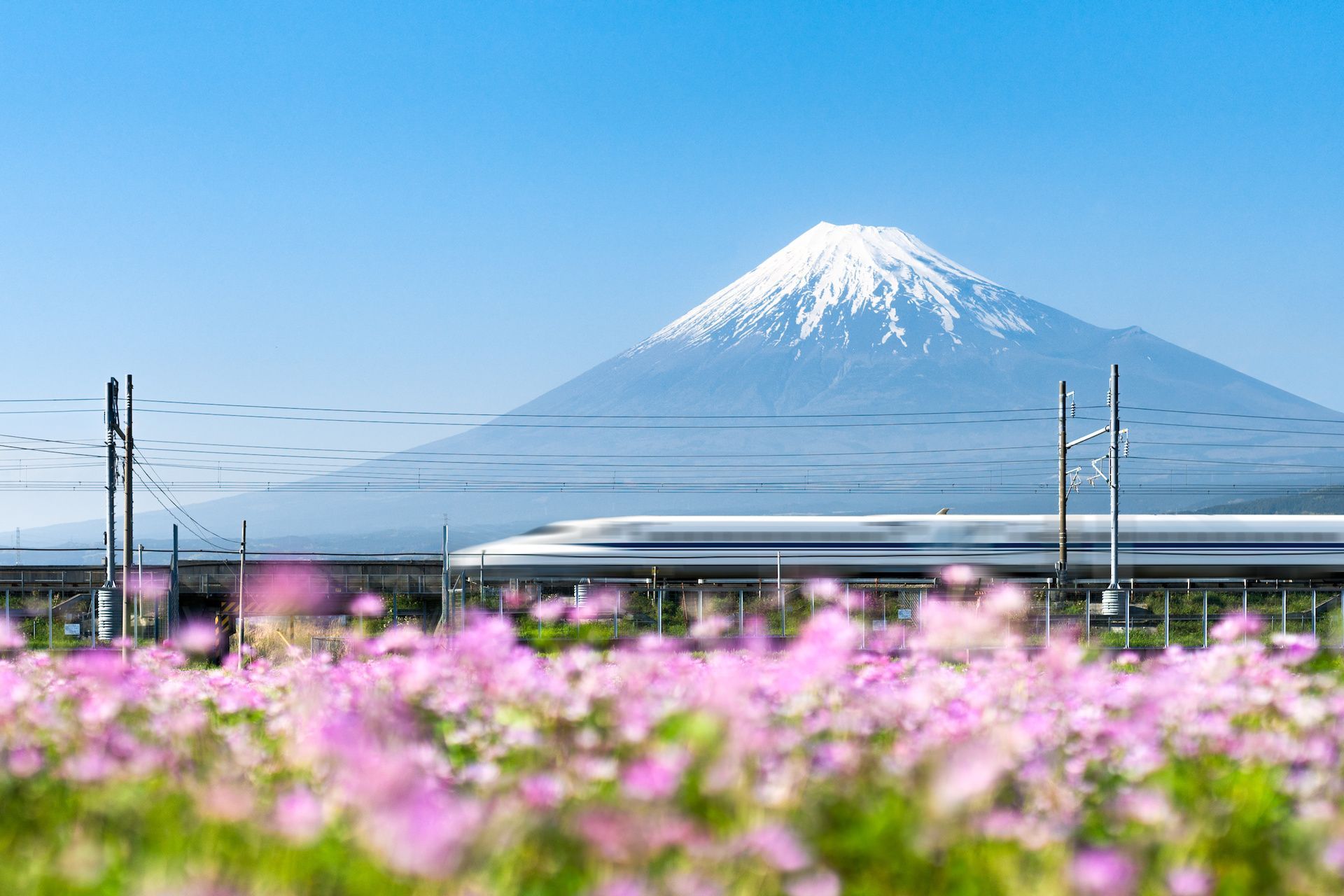 Is Bullet Train Right For You 